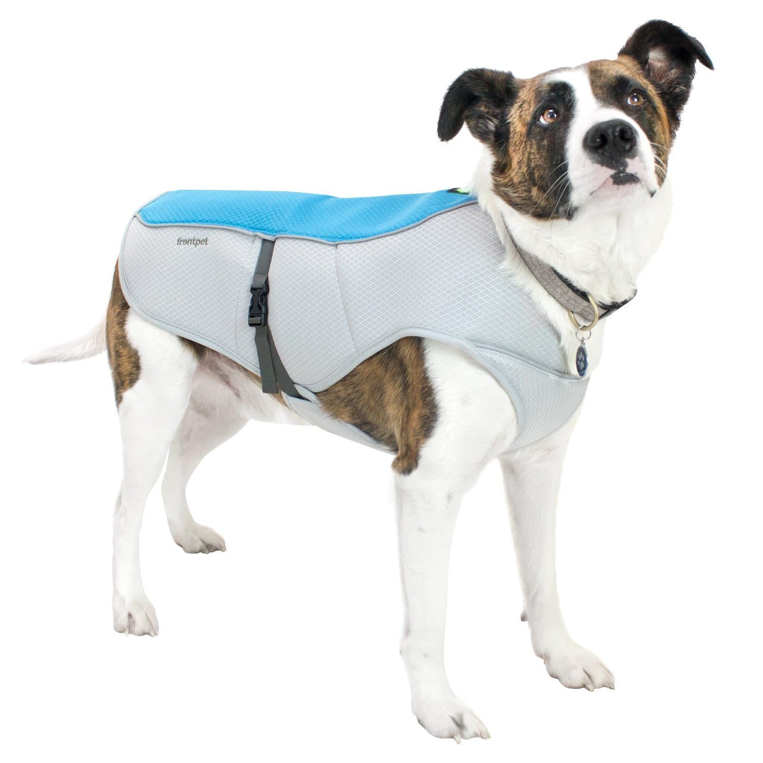 The Best Dog Cooling Vests in 2019 | VetsRecommend