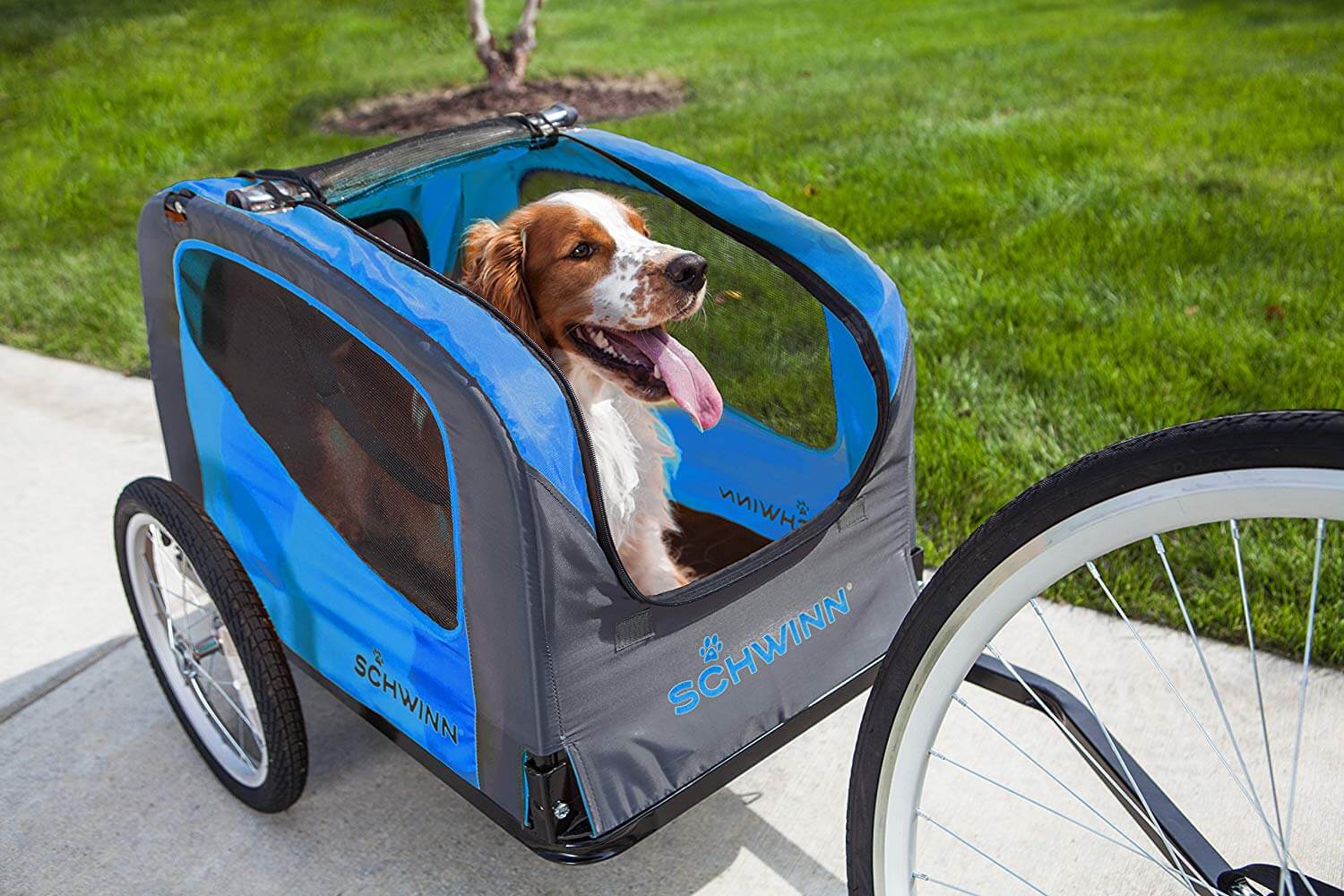The Best Dog and Pet Bike Trailers in 2019 | VetsRecommend