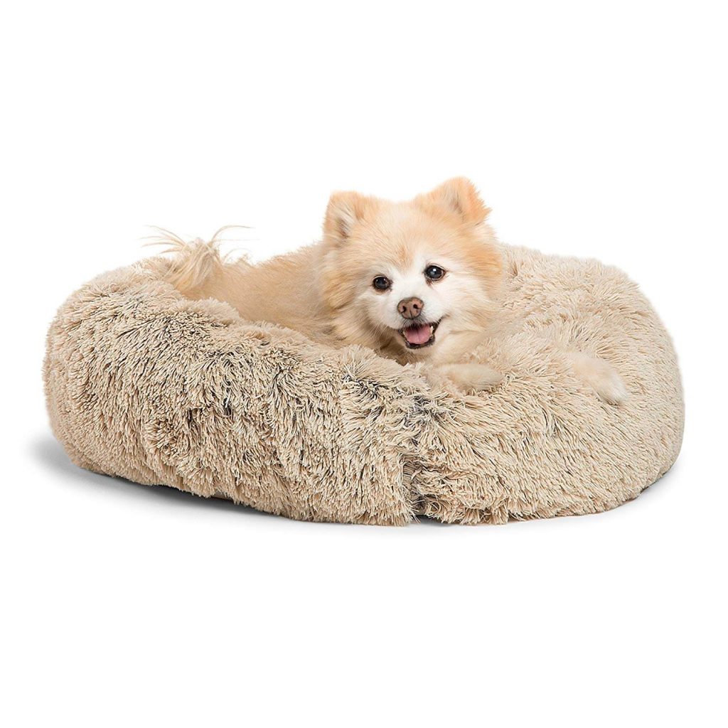 The Best Small Dog Beds in 2019 | VetsRecommend