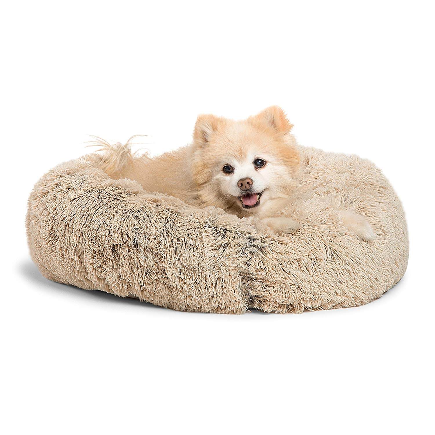 The Best Small Dog Beds in 2019 | VetsRecommend
