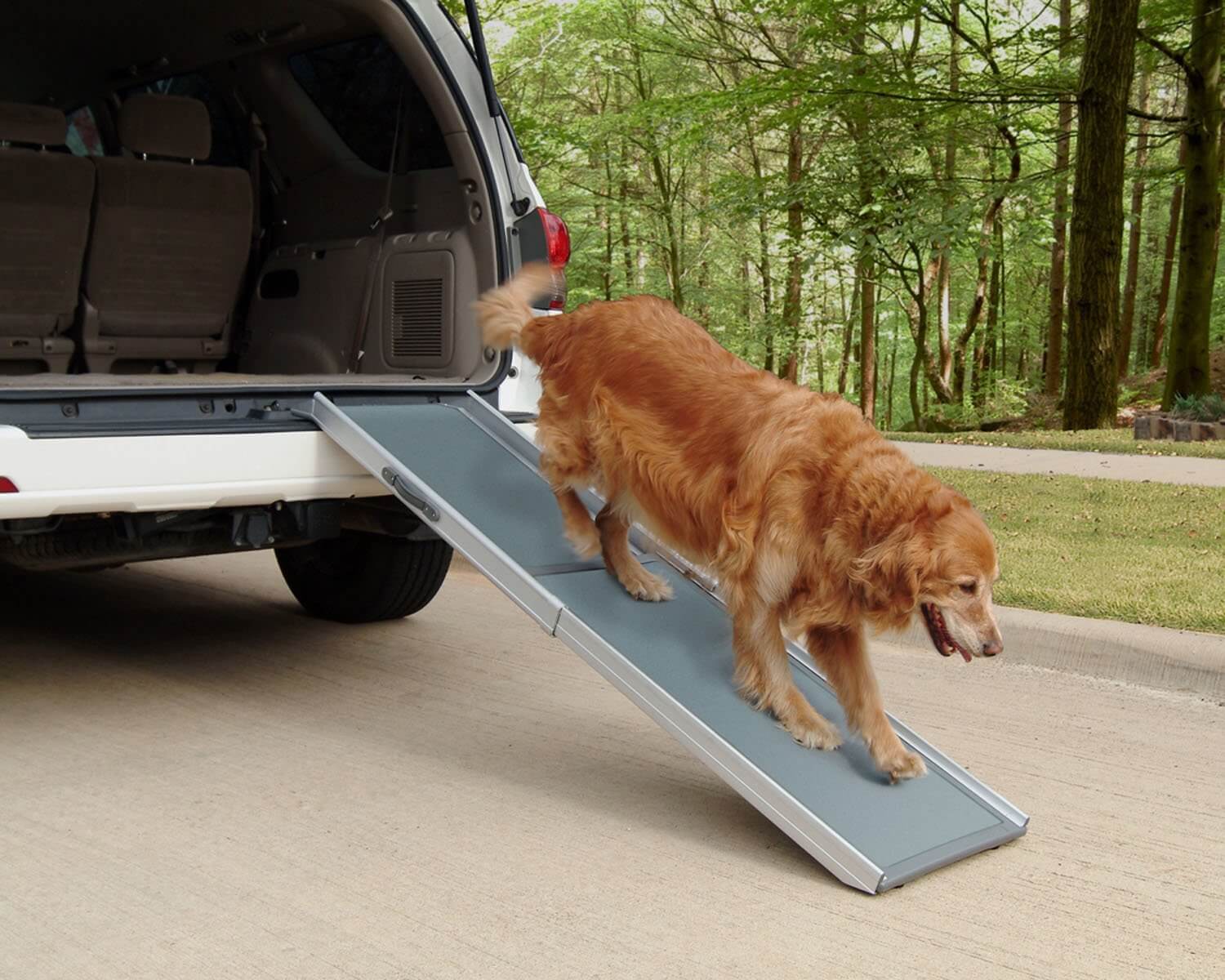 5 Best Dog Ramps for Cars/SUVs/Trucks 2019 | VetsRecommend